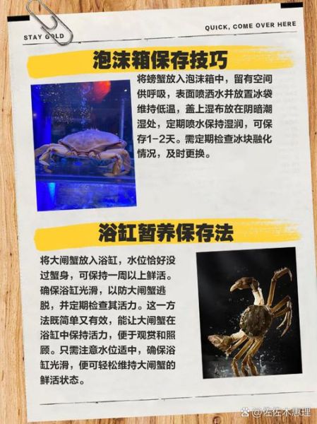 大闸蟹怎么养几天不死_活蟹保存技巧-第2张图片-山城妙识