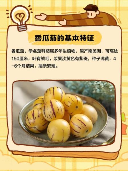 茄瓜怎么炒好吃_茄瓜的营养价值-第2张图片-山城妙识 茄瓜怎么炒好吃_茄瓜的营养价值-第2张图片-山城妙识