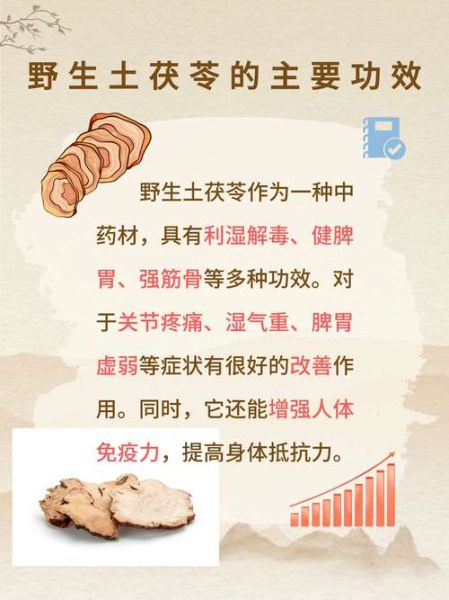 土茯苓的功效与作用_土茯苓怎么吃最好-第2张图片-山城妙识