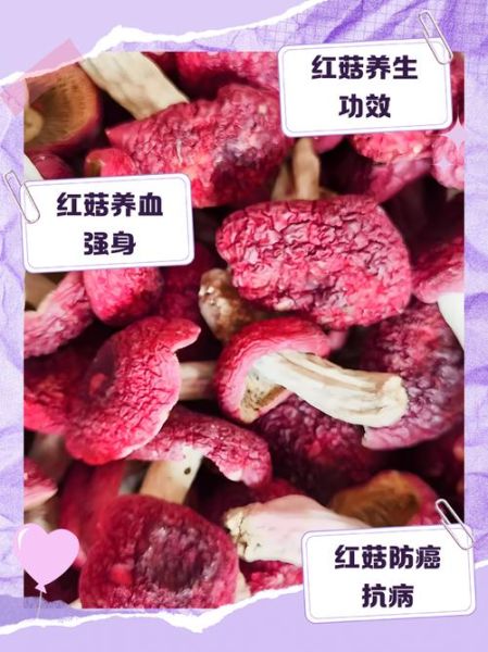 红菇的功效与作用_红菇的禁忌人群有哪些-第1张图片-山城妙识 红菇的功效与作用_红菇的禁忌人群有哪些-第1张图片-山城妙识