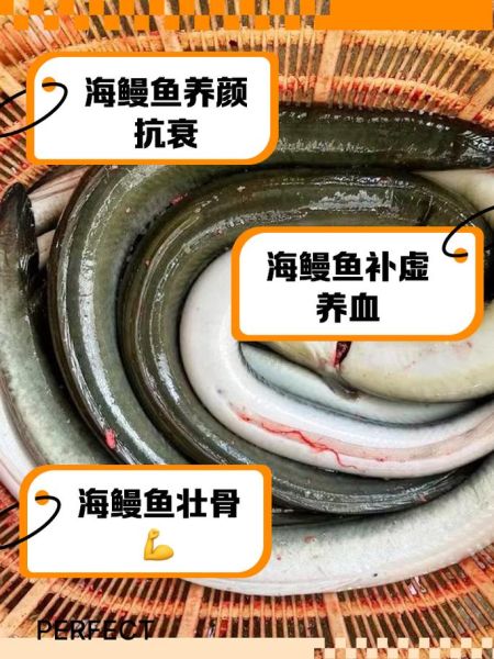 海鳗鱼营养价值_孕妇能吃吗-第2张图片-山城妙识 海鳗鱼营养价值_孕妇能吃吗-第2张图片-山城妙识