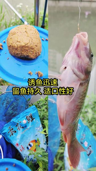 鲤鱼怎么钓_野钓鲤鱼用什么饵-第3张图片-山城妙识 鲤鱼怎么钓_野钓鲤鱼用什么饵-第3张图片-山城妙识