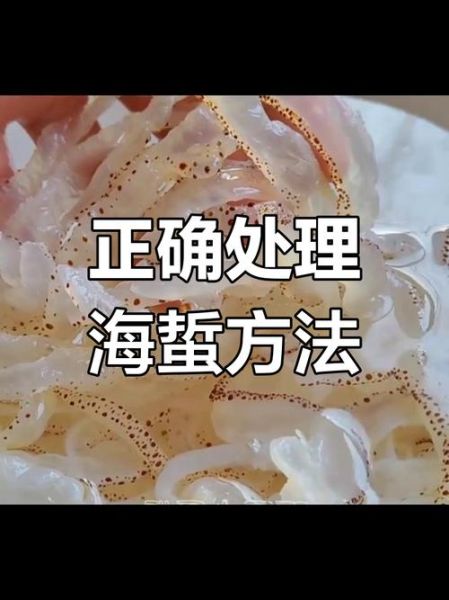 海蜇头怎么挑选_海蜇头怎么泡发-第1张图片-山城妙识