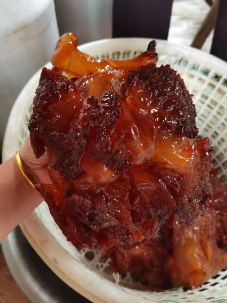 海蜇头怎么挑选_海蜇头怎么泡发-第2张图片-山城妙识