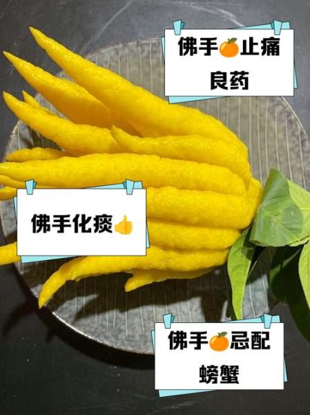 佛手副作用_佛手禁忌人群-第2张图片-山城妙识 佛手副作用_佛手禁忌人群-第2张图片-山城妙识