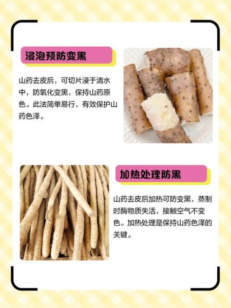 山药怎么挑选_山药去皮后变黑怎么办-第1张图片-山城妙识 山药怎么挑选_山药去皮后变黑怎么办-第1张图片-山城妙识