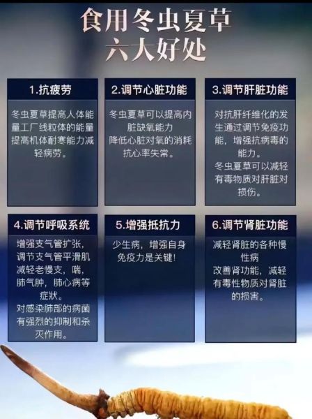 冬虫夏草花什么人不能吃_三类人禁忌-第2张图片-山城妙识