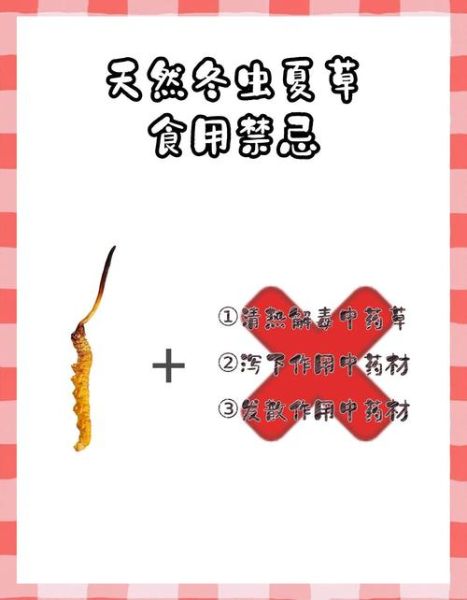 冬虫夏草花什么人不能吃_三类人禁忌-第3张图片-山城妙识