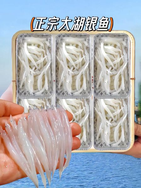 银鱼多少钱一斤_银鱼价格行情-第2张图片-山城妙识 银鱼多少钱一斤_银鱼价格行情-第2张图片-山城妙识