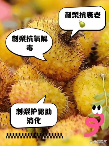 刺梨根治痔疮的用法_刺梨根煮水多久见效-第3张图片-山城妙识