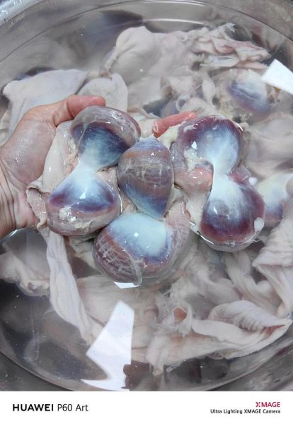 鸭胗里面是鸭屎吗_鸭胗清洗方法-第1张图片-山城妙识 鸭胗里面是鸭屎吗_鸭胗清洗方法-第1张图片-山城妙识