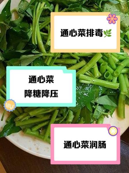 通菜功效与副作用_孕妇能吃吗-第3张图片-山城妙识