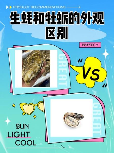 生牡蛎图片长什么样_生牡蛎与煅牡蛎区别-第1张图片-山城妙识