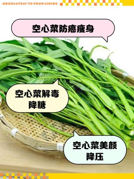 空心菜为什么不吃叶子_空心菜叶子能不能吃-第2张图片-山城妙识 空心菜为什么不吃叶子_空心菜叶子能不能吃-第2张图片-山城妙识