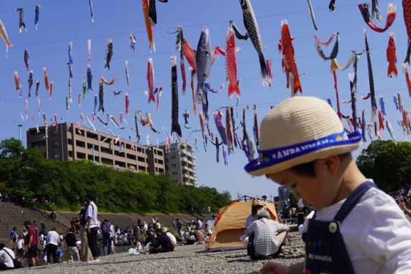 鲤鱼旗是什么节日_日本儿童节为什么挂鲤鱼旗-第3张图片-山城妙识