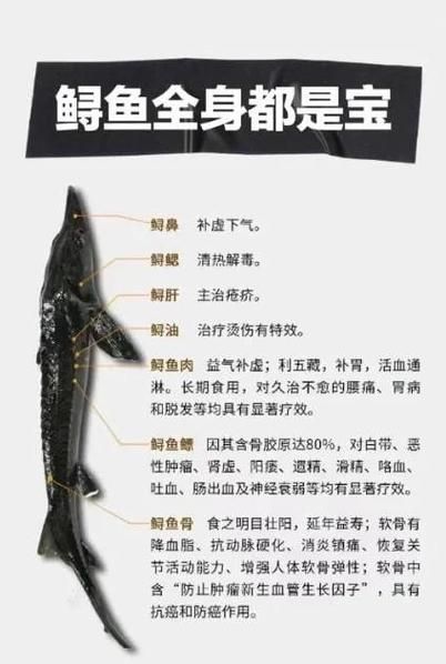 鲟鱼怎么去鳞_鲟鱼去鳞最简单的方法-第3张图片-山城妙识
