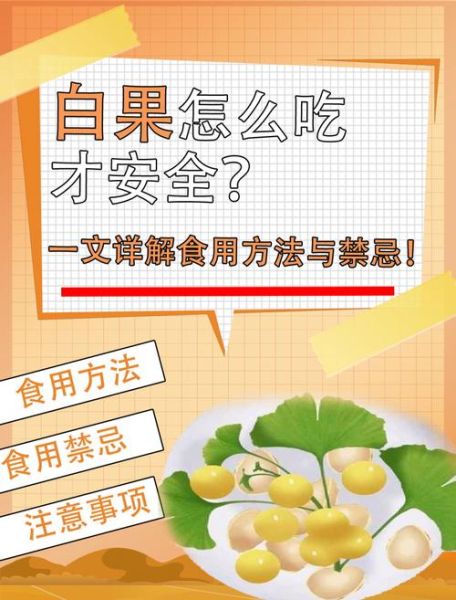白果怎么吃_白果的吃法与禁忌-第1张图片-山城妙识 白果怎么吃_白果的吃法与禁忌-第1张图片-山城妙识