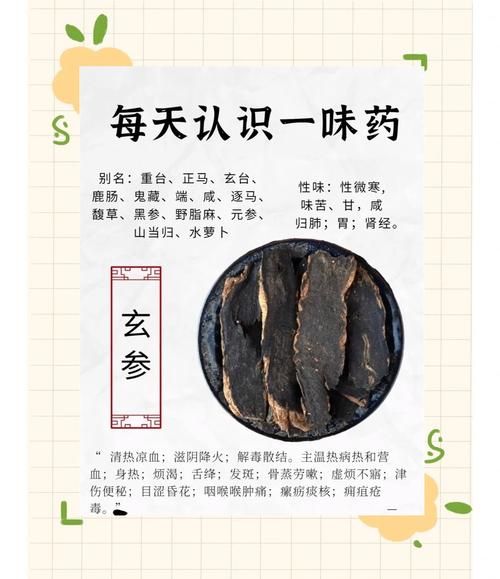 玄参的功效与作用及食用方法_玄参怎么吃效果最好-第1张图片-山城妙识