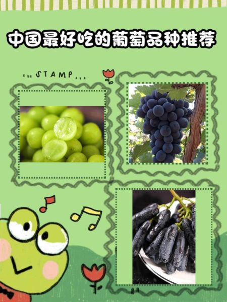 中国十大葡萄品种有哪些_哪个最好吃-第1张图片-山城妙识 中国十大葡萄品种有哪些_哪个最好吃-第1张图片-山城妙识