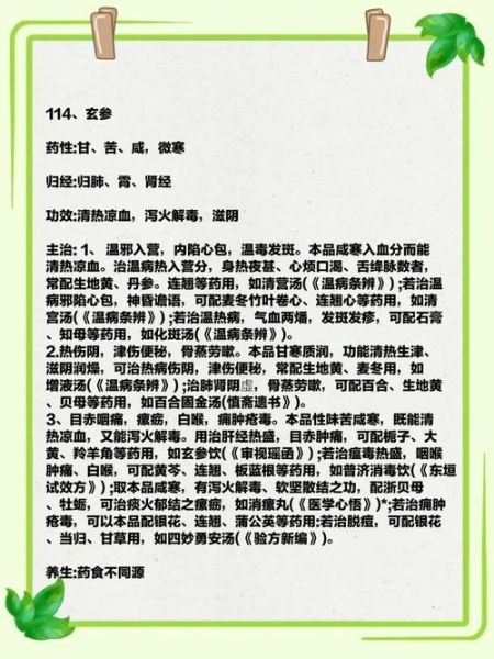 玄参的功效与作用及食用方法_玄参怎么吃效果最好-第3张图片-山城妙识