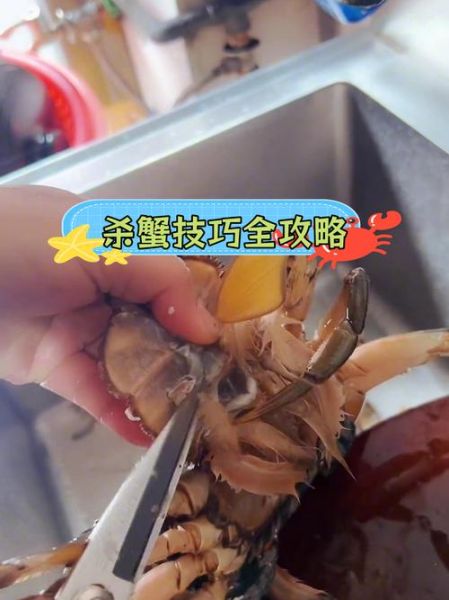 活螃蟹怎么杀_杀活螃蟹的正确方法-第1张图片-山城妙识
