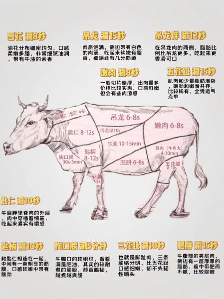 牛身上部位图怎么看_牛肉分割图解-第2张图片-山城妙识