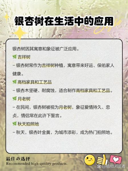 银杏树适合种在庭院吗_银杏树风水寓意是什么-第2张图片-山城妙识