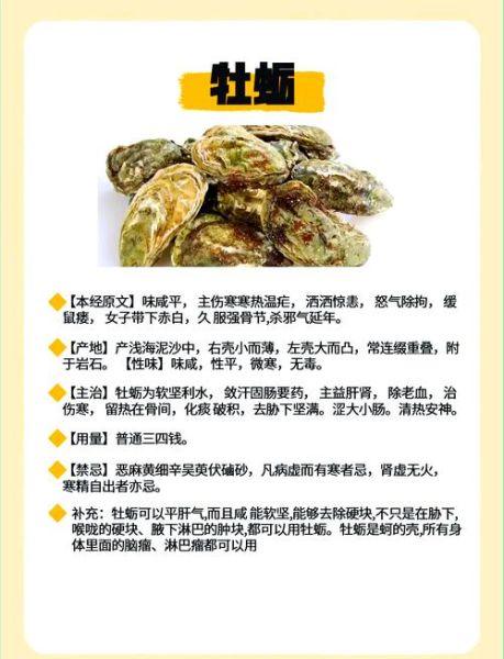 海蛎子补肾效果好吗_怎么吃最壮阳-第1张图片-山城妙识 海蛎子补肾效果好吗_怎么吃最壮阳-第1张图片-山城妙识