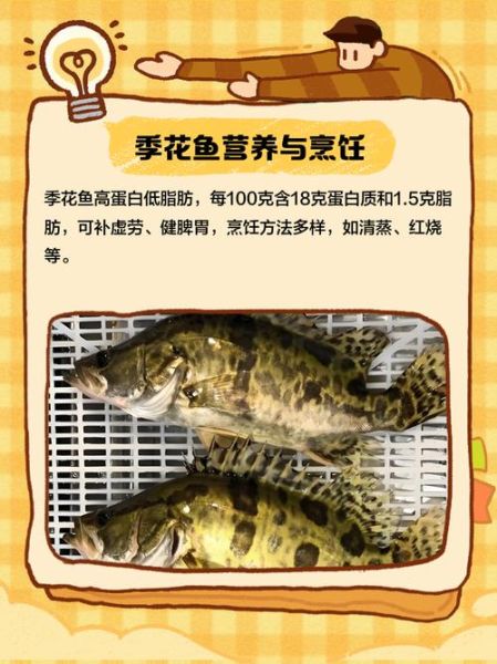 季花鱼怎么做好吃_季花鱼的做法大全-第1张图片-山城妙识