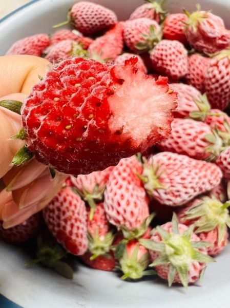 冻草莓怎么做_冻草莓能保存多久-第1张图片-山城妙识 冻草莓怎么做_冻草莓能保存多久-第1张图片-山城妙识