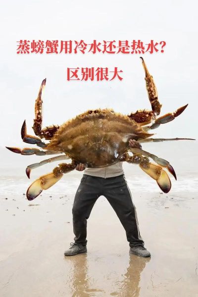 河螃蟹蒸多长时间熟_蒸螃蟹冷水下锅还是热水-第1张图片-山城妙识