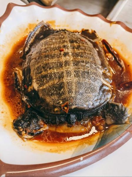 霸王别姬菜图片高清_霸王别姬菜是哪里的菜-第1张图片-山城妙识