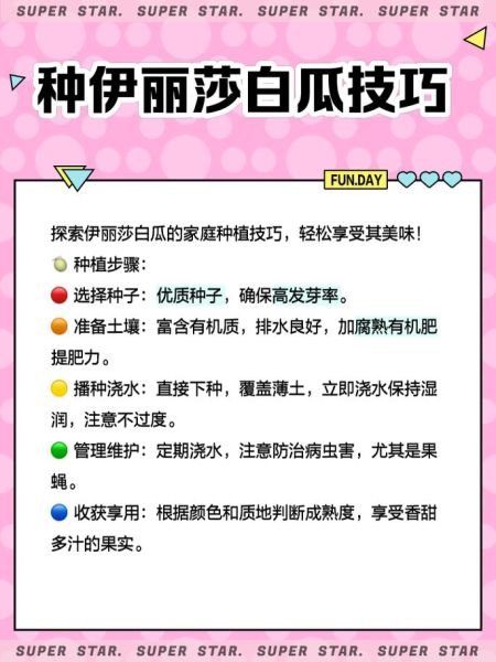 伊丽莎白瓜的热量高吗_伊丽莎白瓜减肥能吃吗-第1张图片-山城妙识