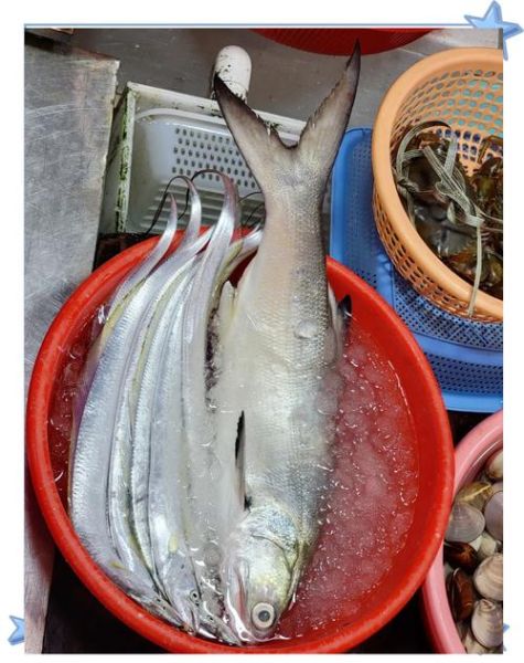 马友鱼多少钱一斤_马友鱼价格为什么差距大-第3张图片-山城妙识