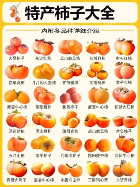 柿子一天最多吃几个_吃柿子过量会怎样-第1张图片-山城妙识