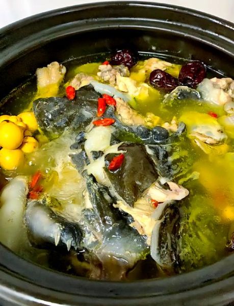 甲鱼汤怎么炖不腥_家常做法详细步骤-第1张图片-山城妙识 甲鱼汤怎么炖不腥_家常做法详细步骤-第1张图片-山城妙识