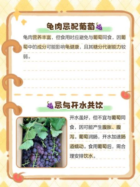 葡萄的功效与作用有哪些_吃葡萄能减肥吗-第3张图片-山城妙识 葡萄的功效与作用有哪些_吃葡萄能减肥吗-第3张图片-山城妙识