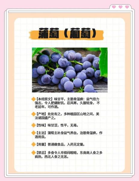 葡萄的功效与作用有哪些_吃葡萄能减肥吗-第2张图片-山城妙识 葡萄的功效与作用有哪些_吃葡萄能减肥吗-第2张图片-山城妙识