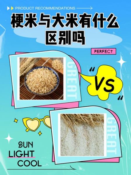 梗米与粳米读音区别_梗米粳米怎么读才正确-第3张图片-山城妙识