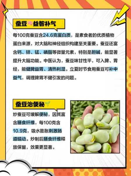 蚕豆的营养价值_蚕豆的功效与作用有哪些-第3张图片-山城妙识