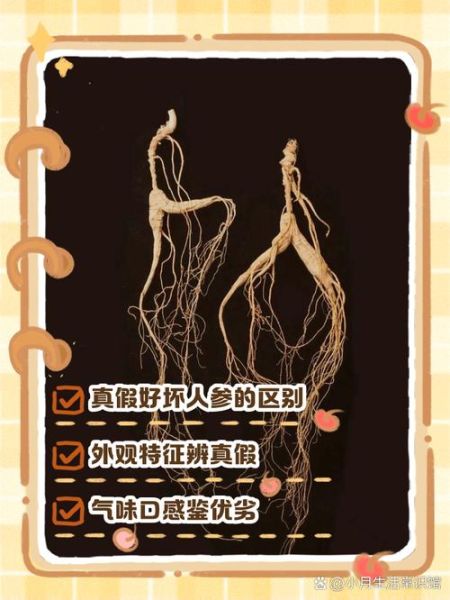 假人参是什么_假人参和真参区别-第3张图片-山城妙识