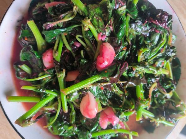 紫苋菜的营养价值_紫苋菜的功效与作用-第2张图片-山城妙识