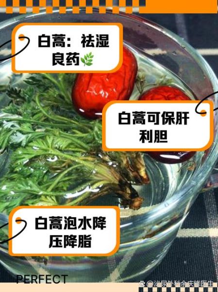 白蒿草的功效与作用_白蒿草怎么吃最好-第1张图片-山城妙识