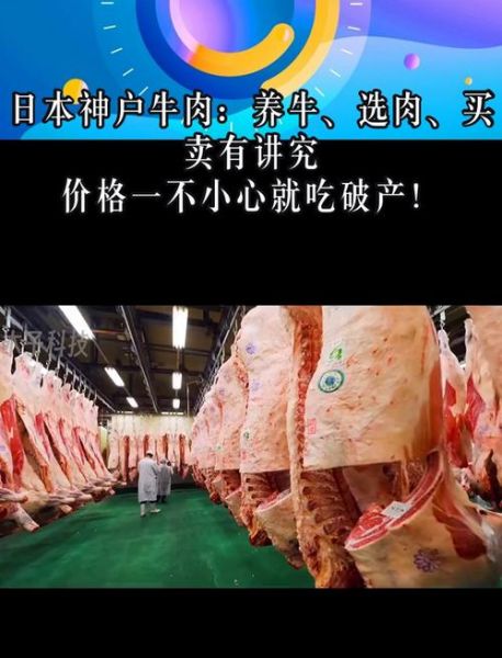神户牛肉多少钱一斤_神户牛肉价格表2024-第2张图片-山城妙识