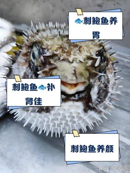 刺鲍鱼怎么处理_刺鲍鱼怎么杀-第2张图片-山城妙识