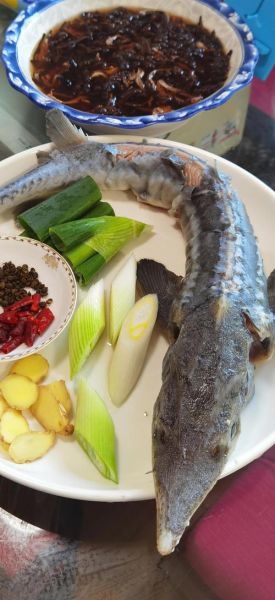 红烧鲟鱼怎么做_红烧鲟鱼最简单的做法-第1张图片-山城妙识