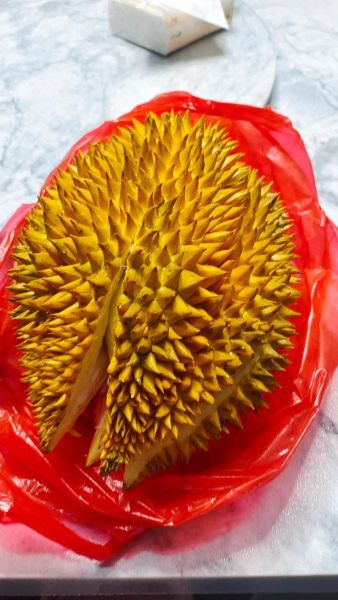 榴莲图片大全大图_榴莲高清图片怎么拍-第1张图片-山城妙识