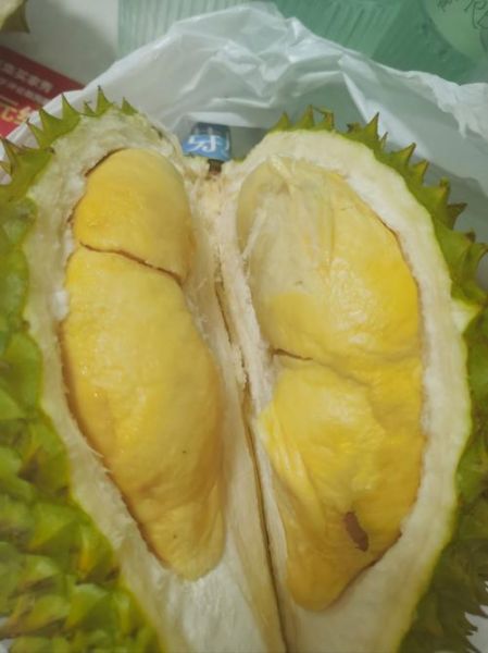 榴莲图片大全大图_榴莲高清图片怎么拍-第2张图片-山城妙识