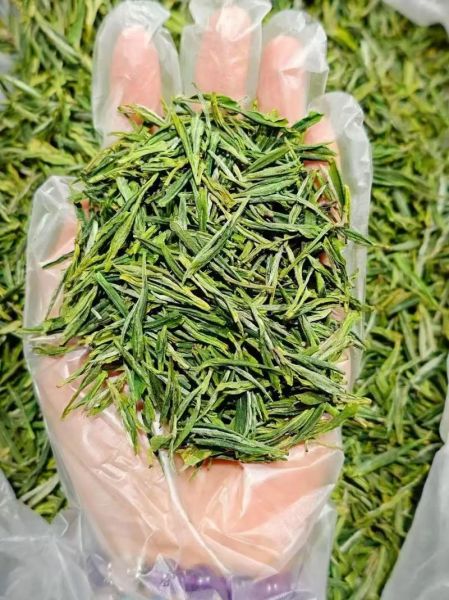 华顶云雾茶多少钱一斤_华顶云雾茶怎么泡-第3张图片-山城妙识