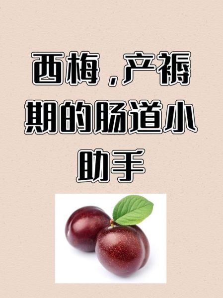 一天吃了20个西梅会怎样_西梅吃多了拉肚子怎么办-第2张图片-山城妙识